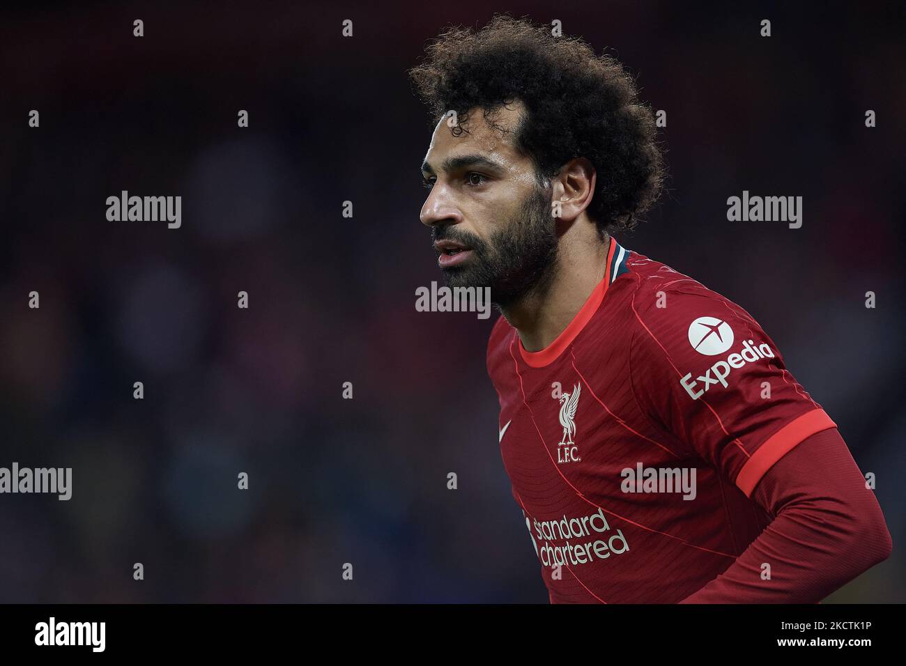 Mohamed Salah of Liverpool during the UEFA Champions League group B ...