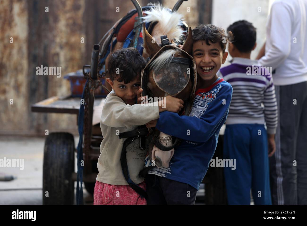 Palestinian children play with a horse in the street of al Shateaa ...
