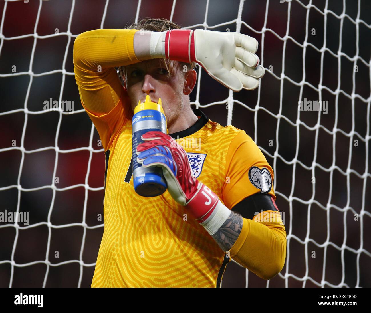Jordan Pickford (Everton) of England during World Qualifying - European ...
