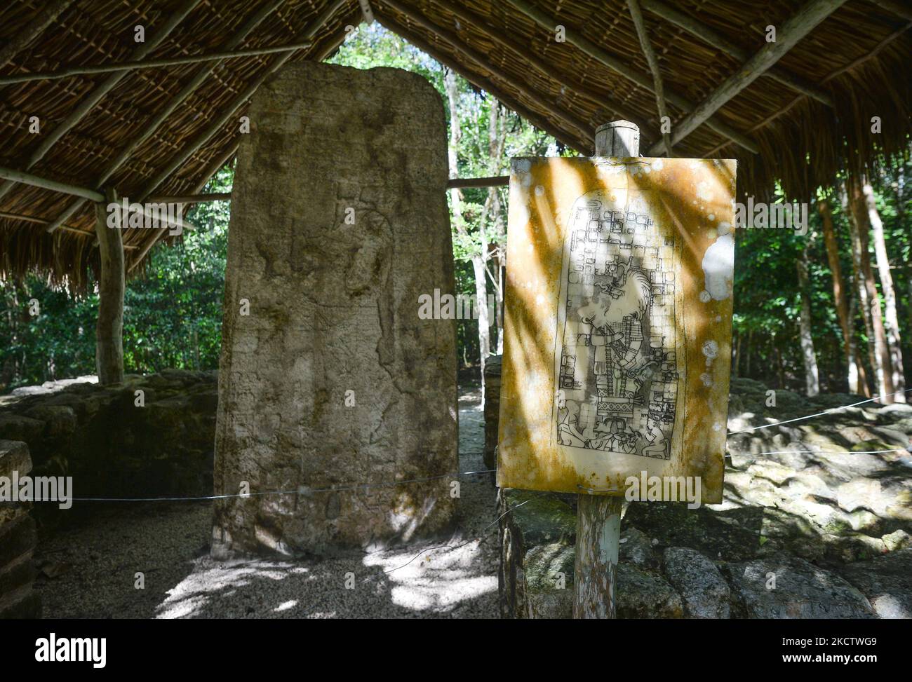 An example of a stele, large stone slabs containing drawings and glyphs ...