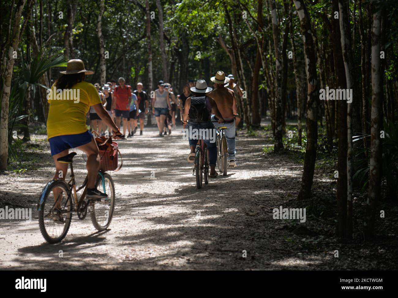 Visitors inside the Coba archaeological site. On Friday, November 12 ...