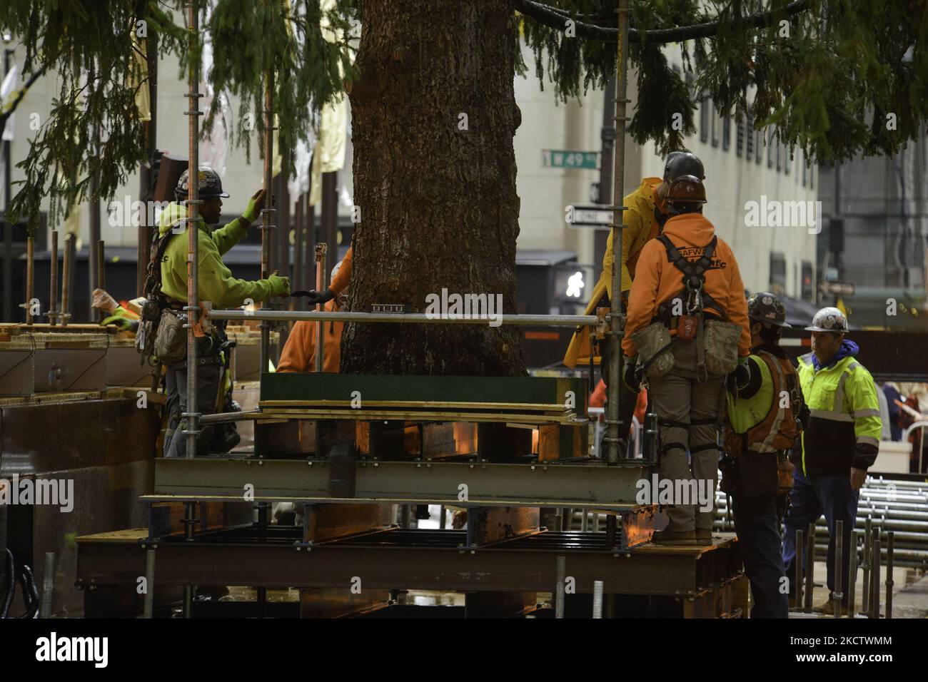 The 79-foot-tall Rockefeller Center Christmas tree arrives from Elkton ...