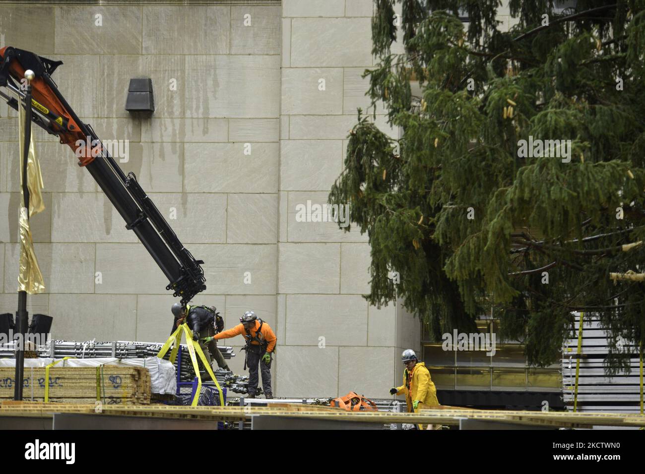 The 79-foot-tall Rockefeller Center Christmas tree arrives from Elkton ...