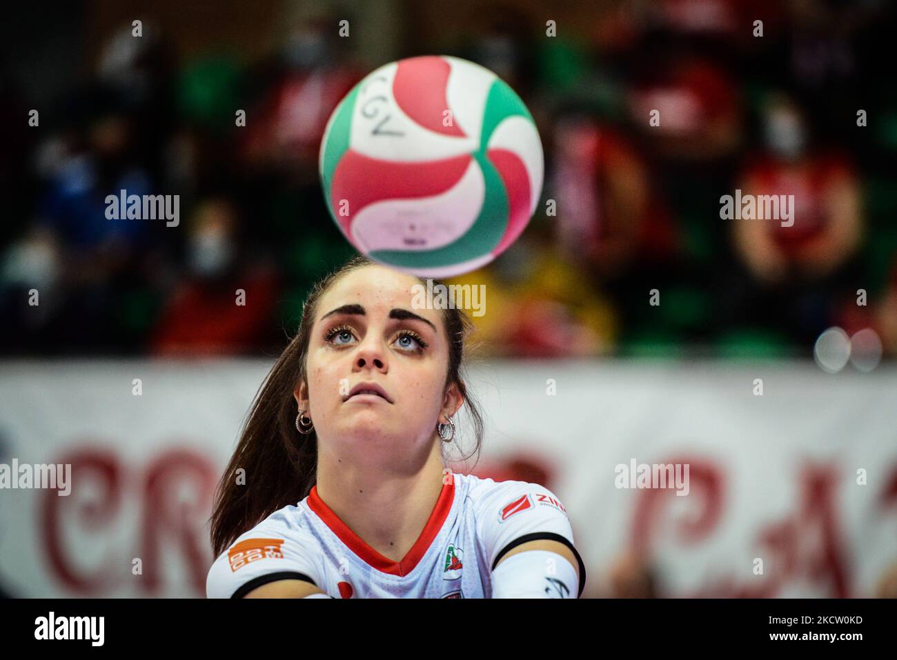 Bosca s bernando cuneo hi-res stock photography and images - Alamy