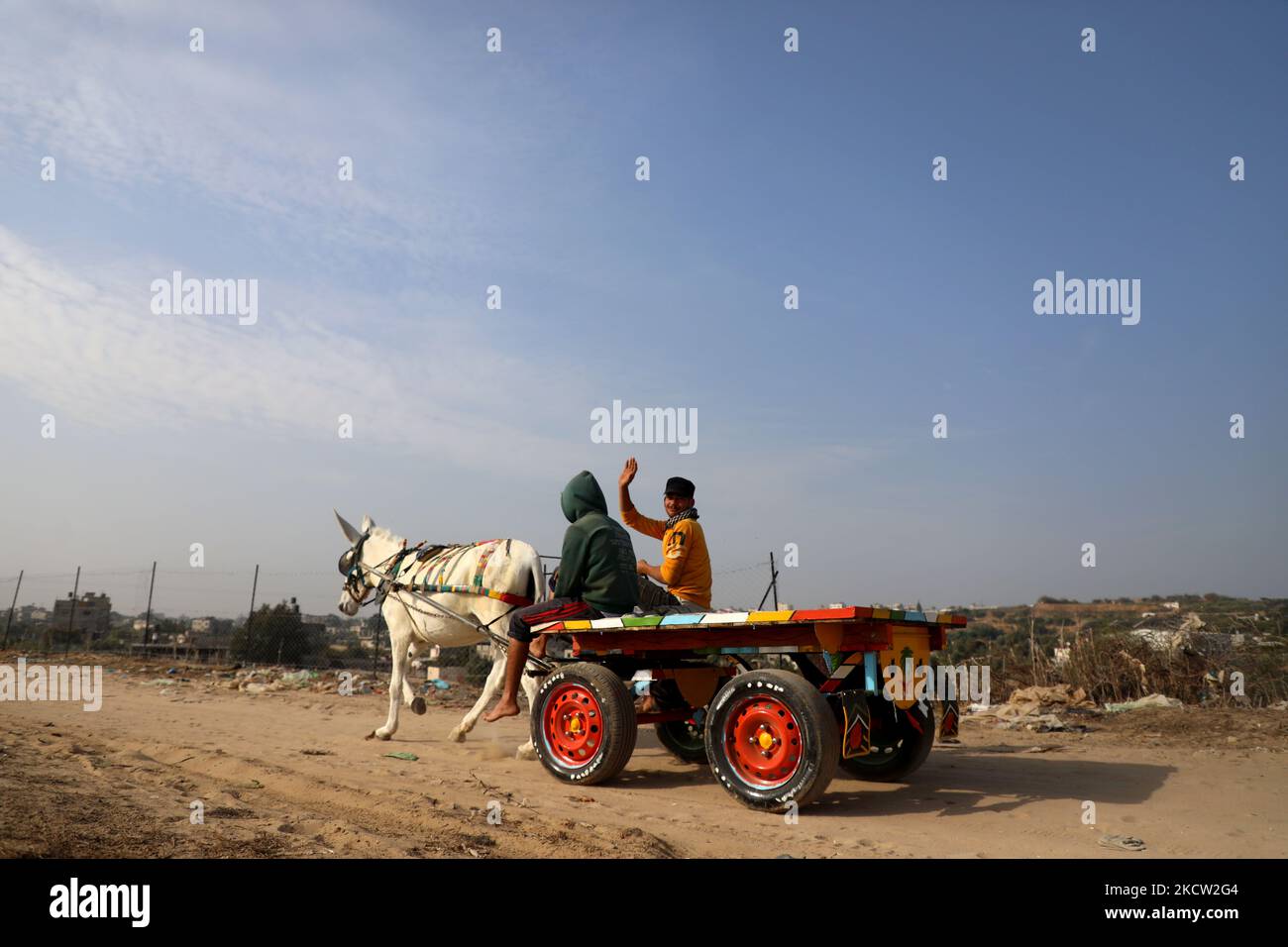 Palestinian youths ride a donkey cart in Beit Lahia in the northern ...