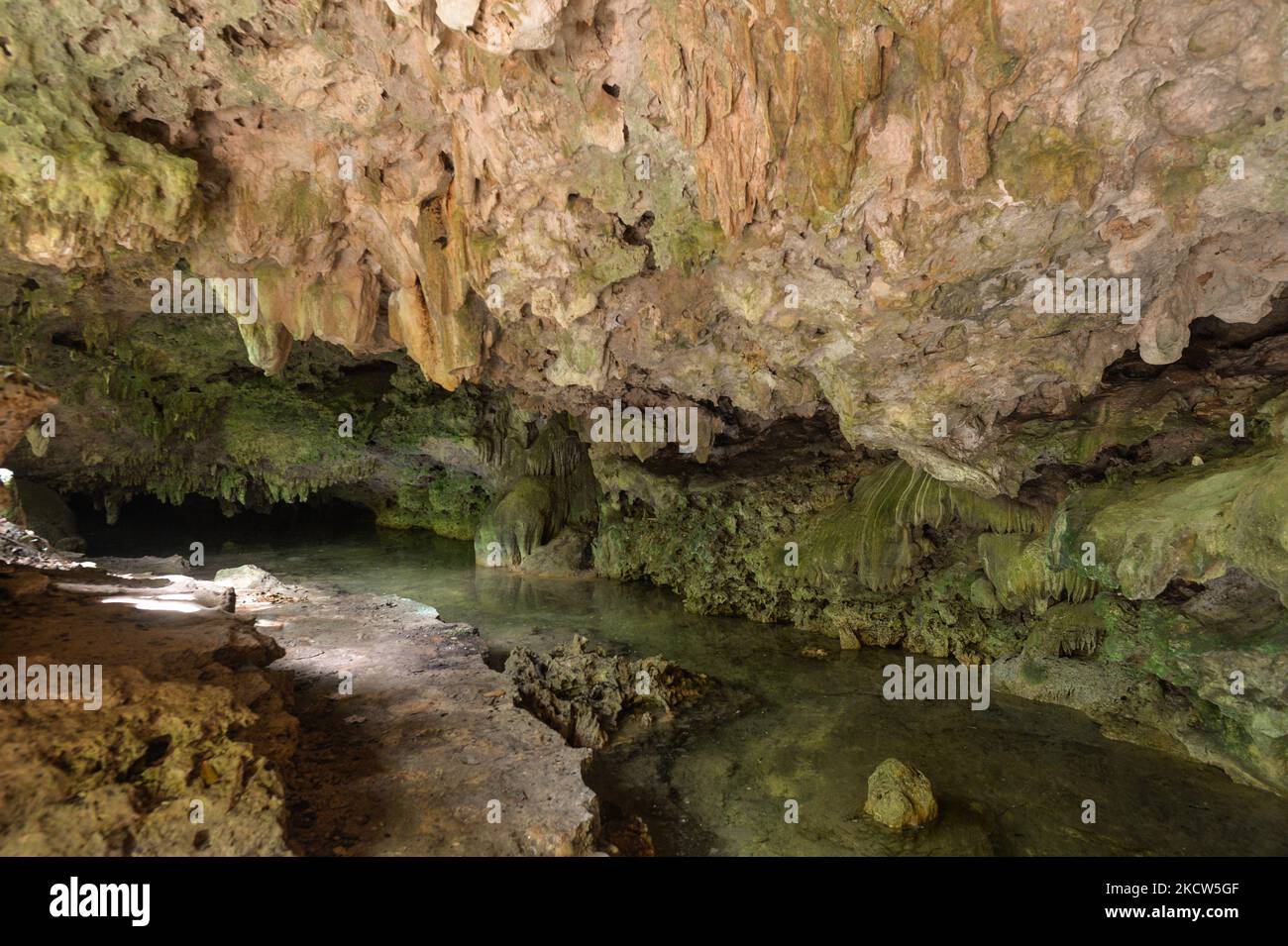 Cenote isla alamo hi-res stock photography and images - Alamy