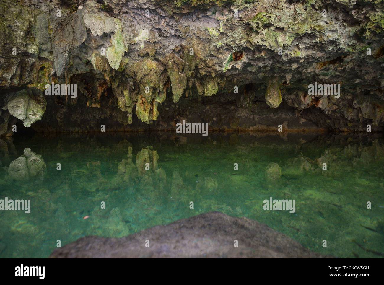 Cenote isla alamo hi-res stock photography and images - Alamy