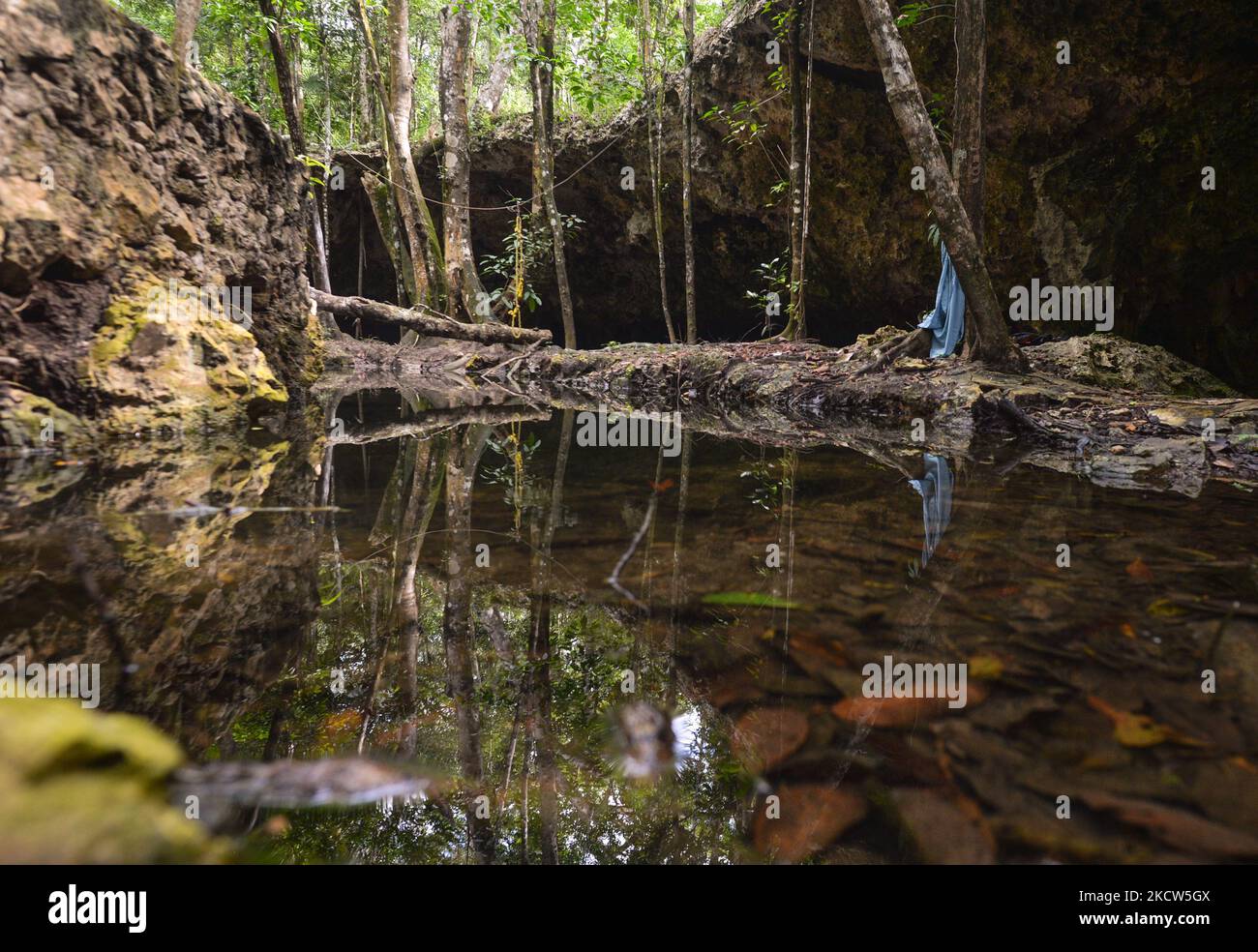 Cenote isla alamo hi-res stock photography and images - Alamy