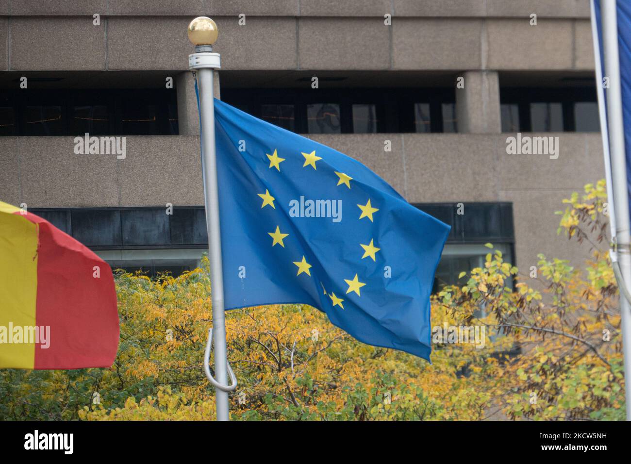 Flag of Europe or European Flag is the symbol of Council of Europe Coe ...