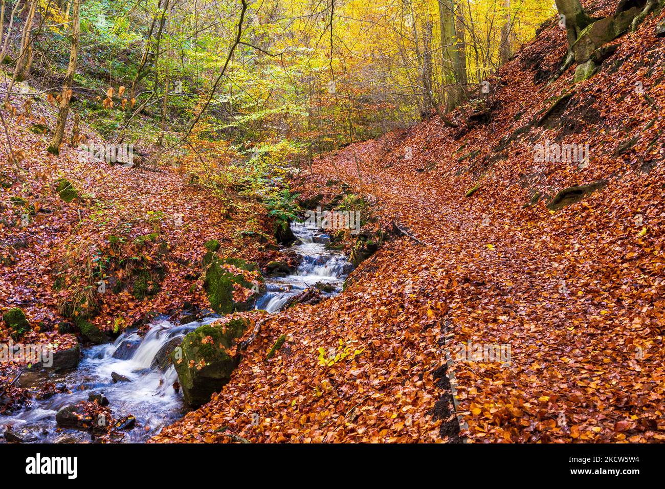 The Porter River rises on the edge of the Peak District and flows ...