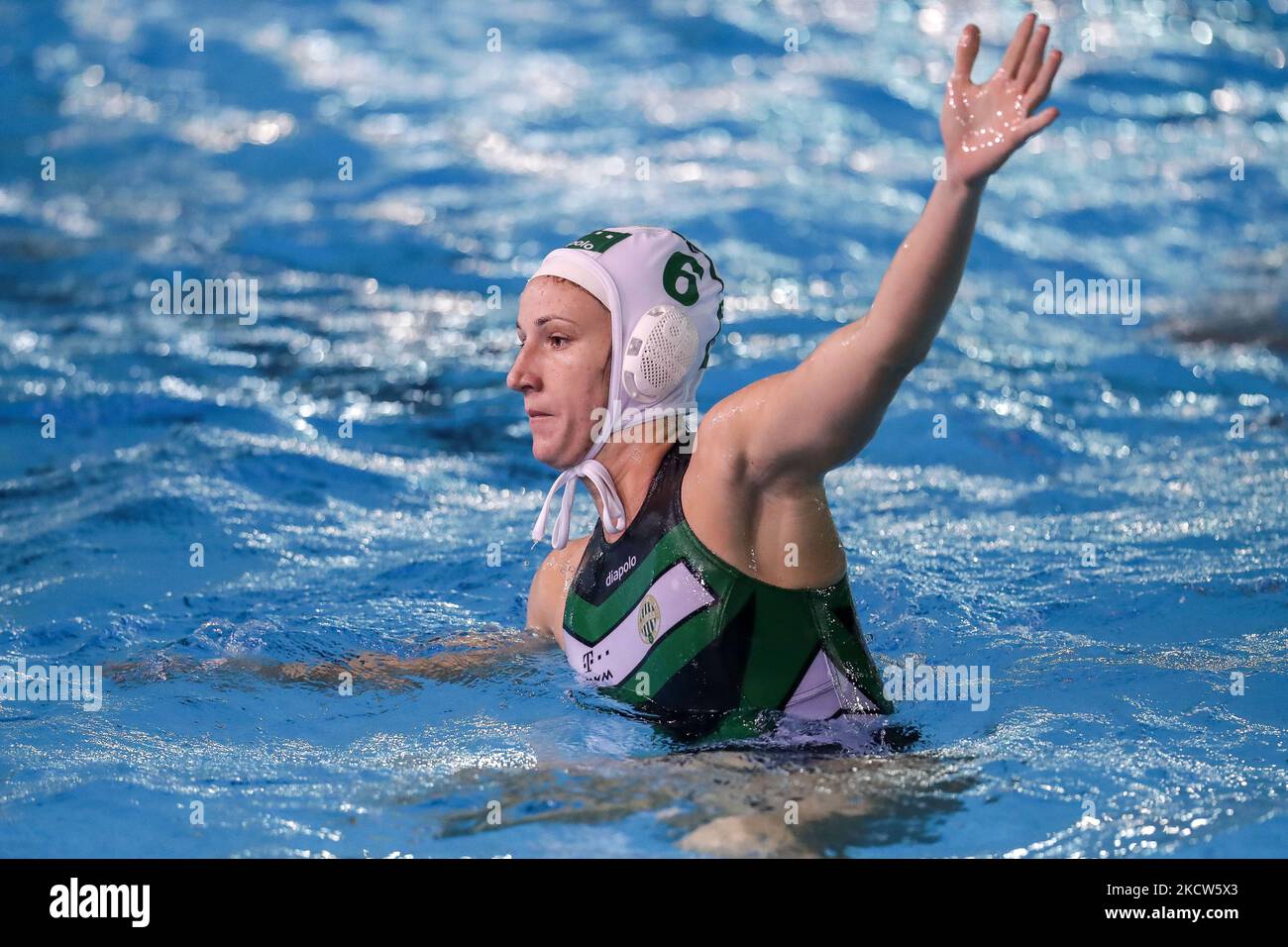 V kovesdi hi-res stock photography and images - Alamy