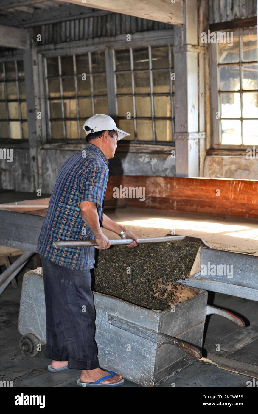 Tea sorting machine hi-res stock photography and images - Alamy