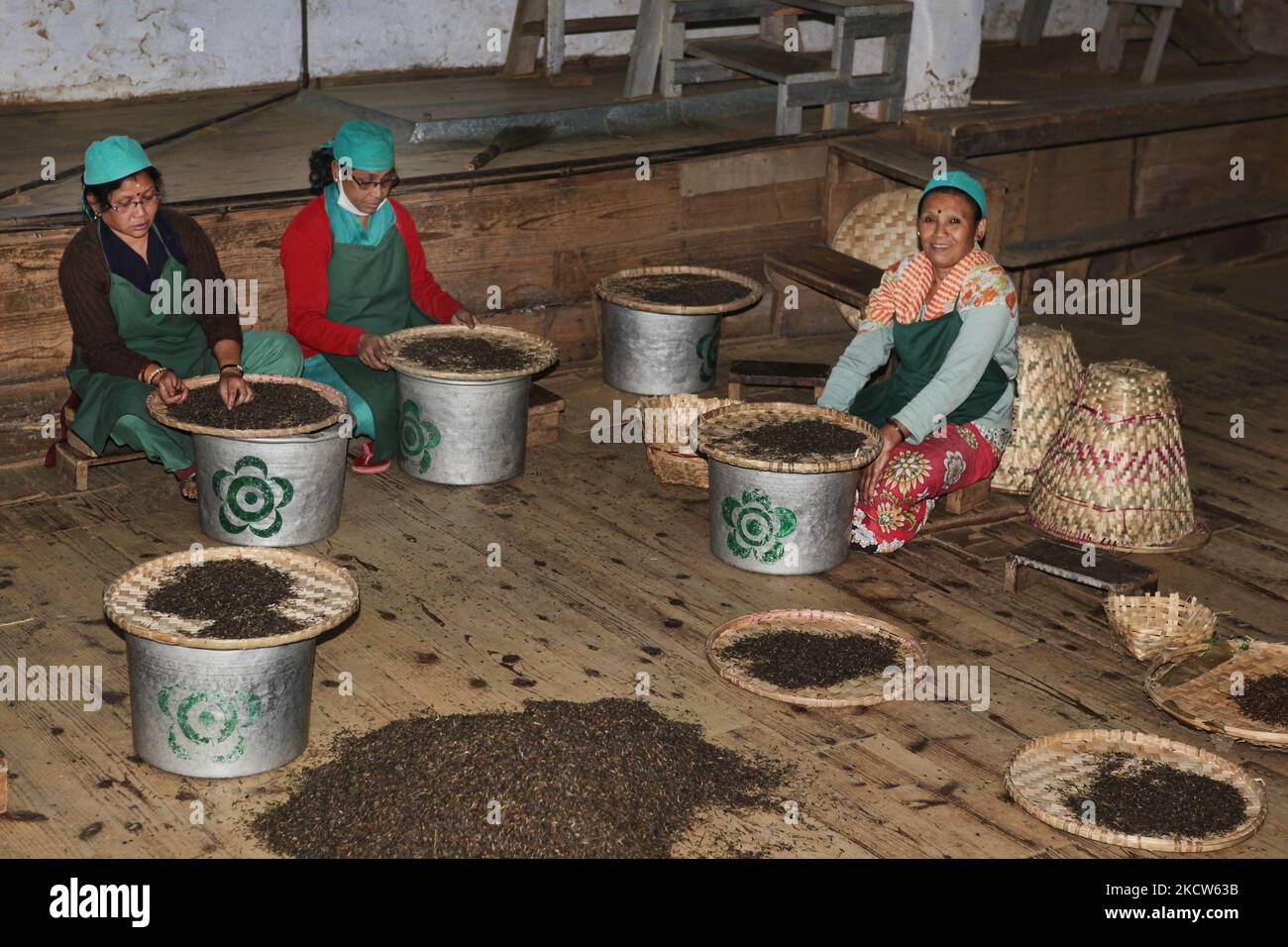 Women sort roasted tea leaves by hand into different grades at the ...