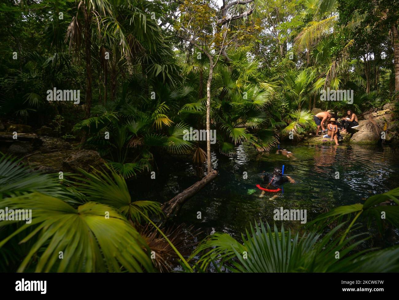 Popular cenotes hi-res stock photography and images - Alamy