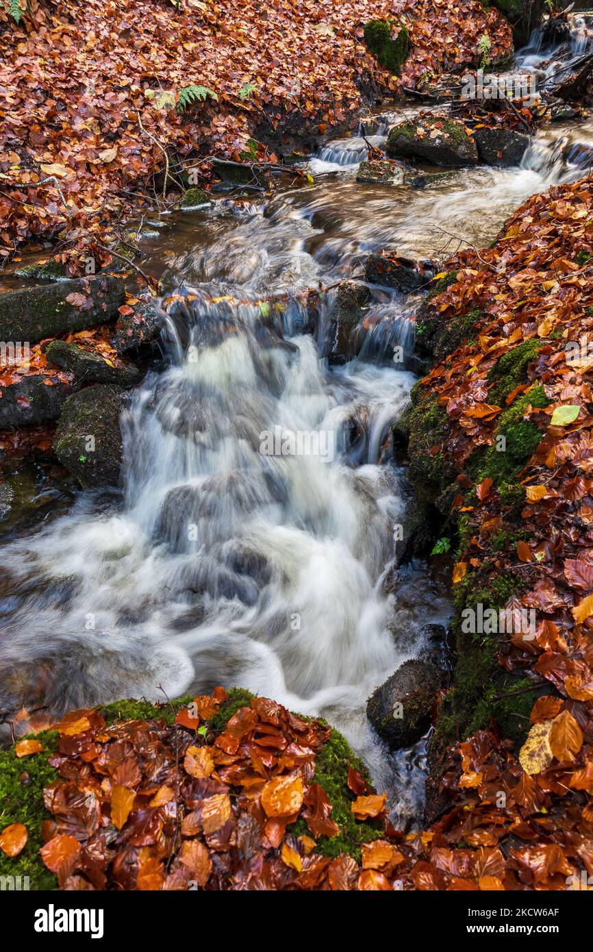 Porter brook river hi-res stock photography and images - Alamy