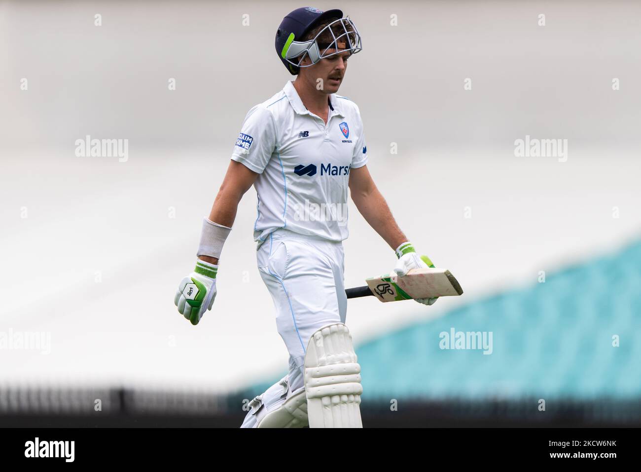 Cricket daniel hughes hi-res stock photography and images - Alamy