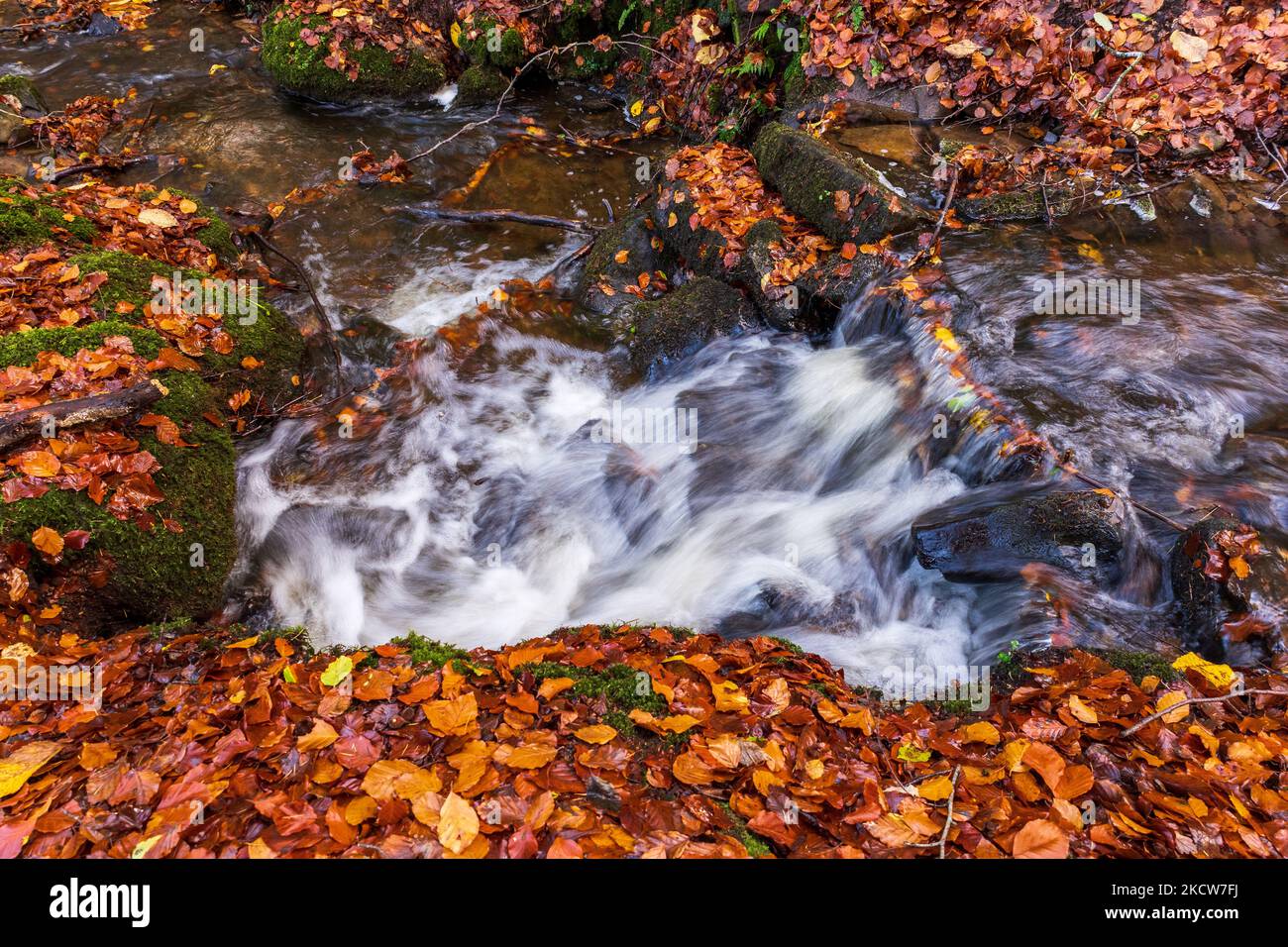The Porter River rises on the edge of the Peak District and flows ...