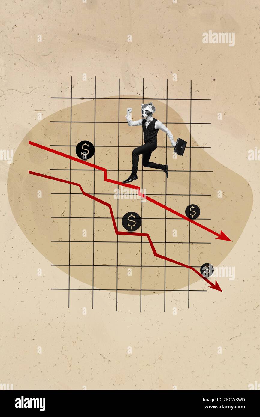 Vertical collage image of mini person black white effect raccoon head ...