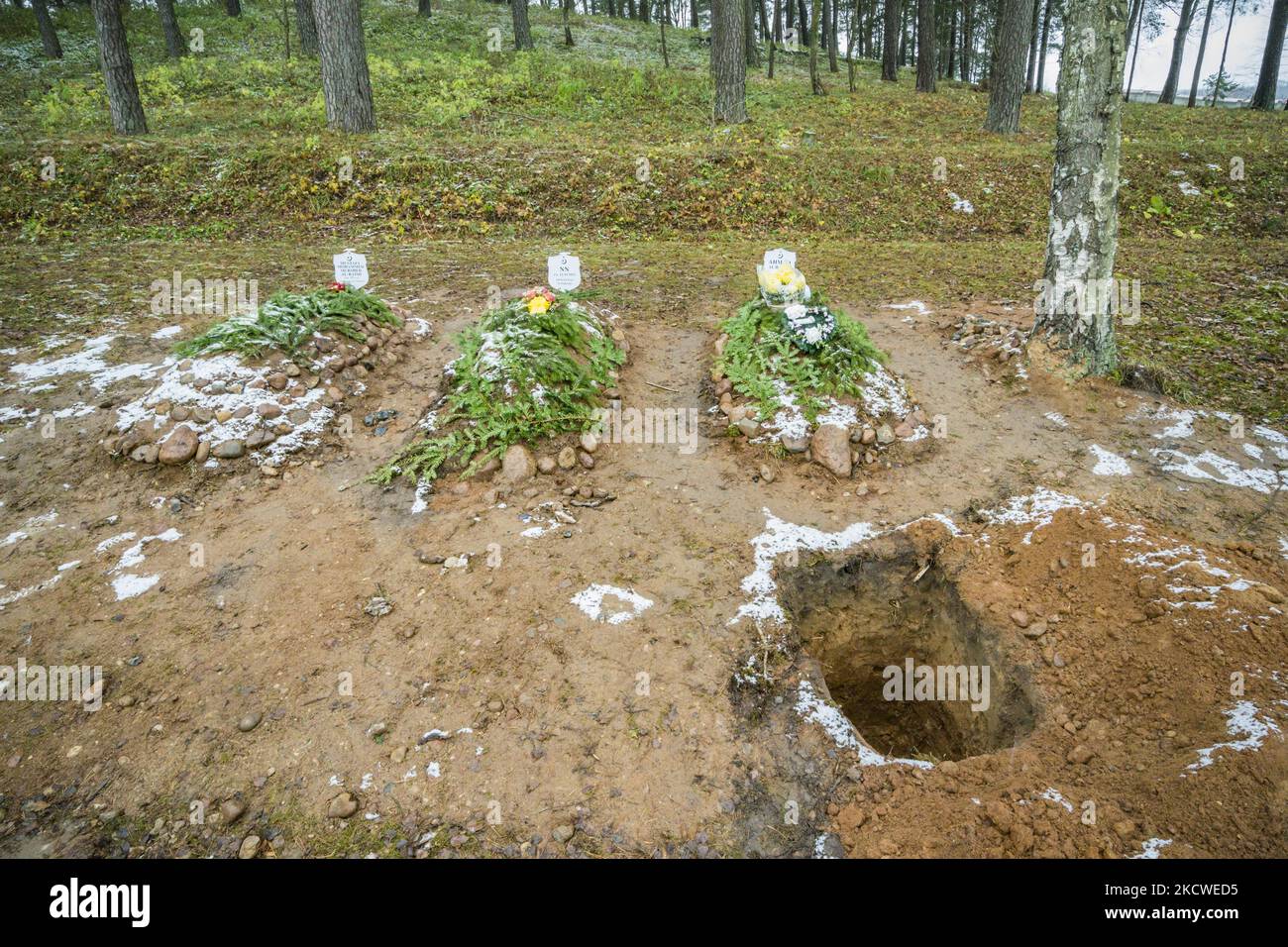 Grave pit hi-res stock photography and images - Alamy