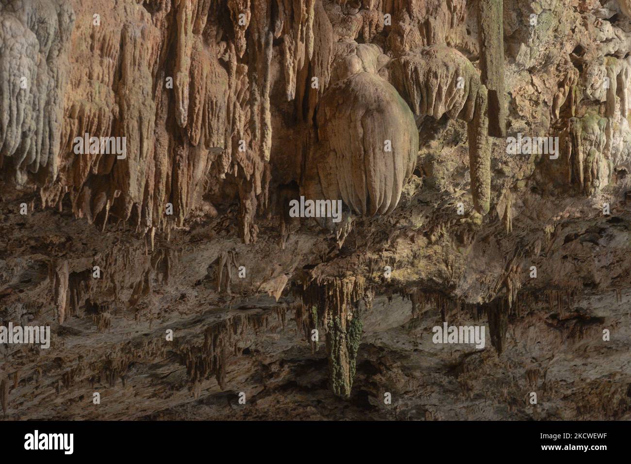 Cenote xux ha hi-res stock photography and images - Alamy