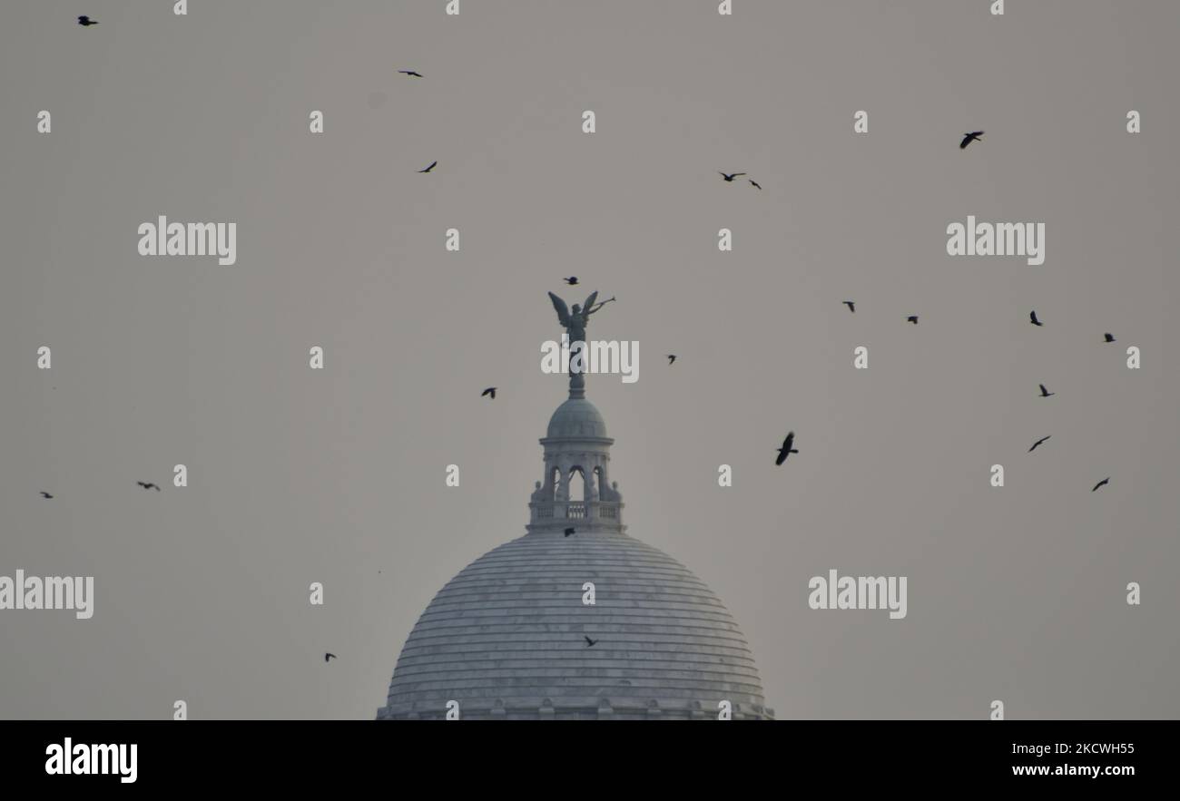 Birds fly past a statue of Queen Victoria in Kolkata, India, 24 ...
