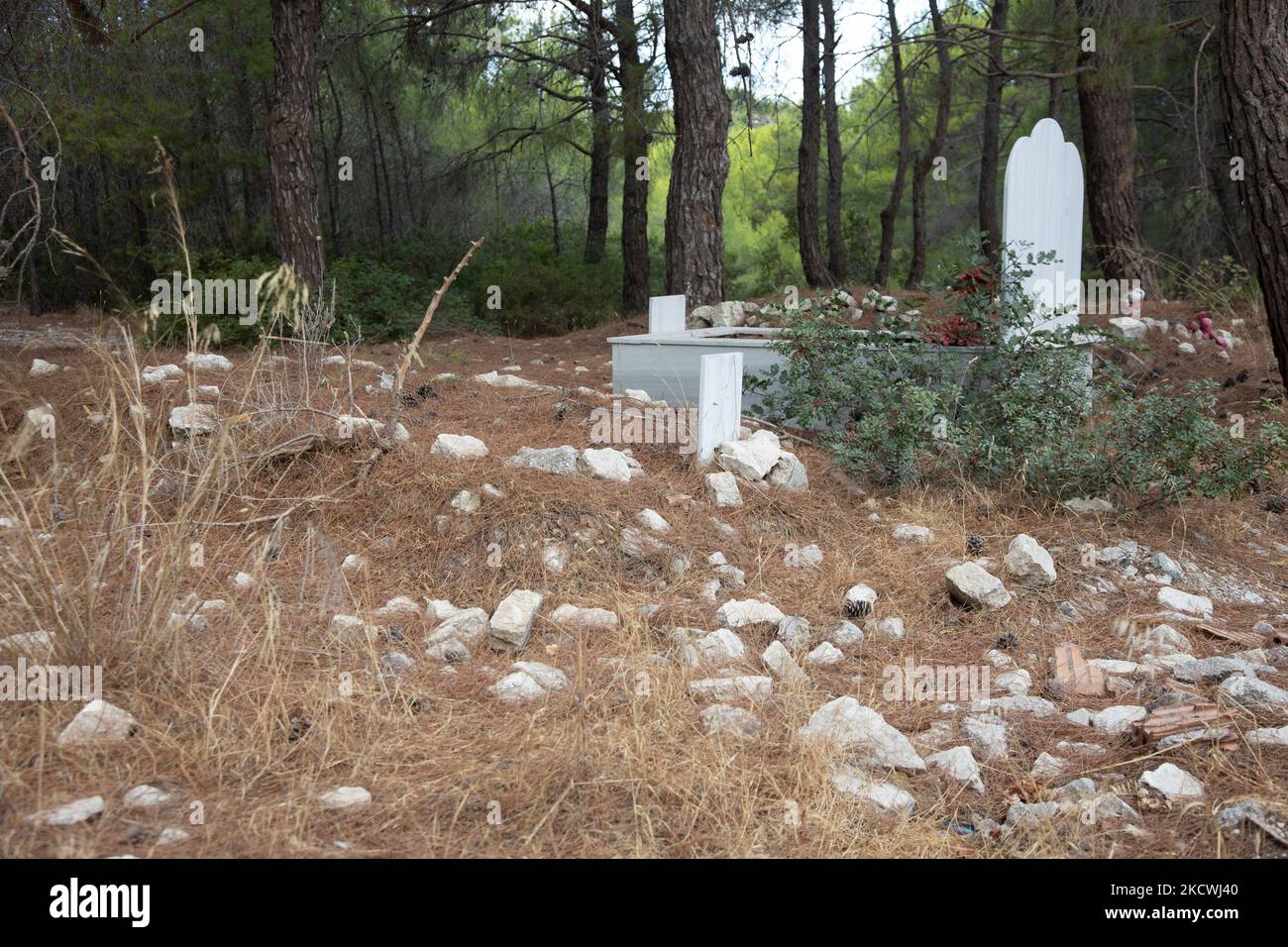 Graves or Muslim asylum seekers, some with numbered tombstones as ...
