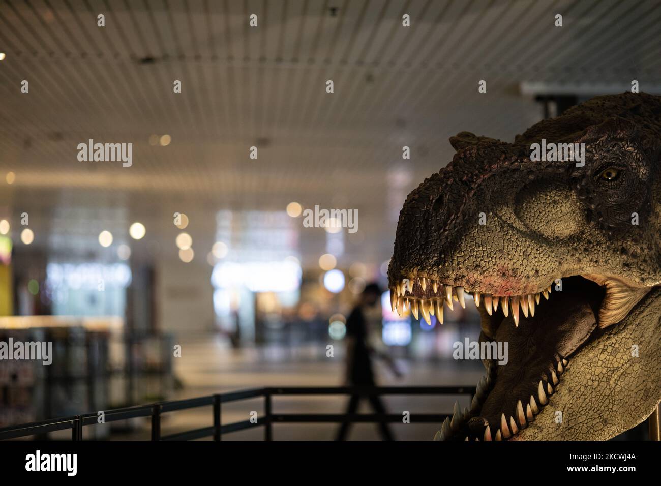 A large collection of T-Rex Dinosaurs toys in a multi toy store. Multi ...