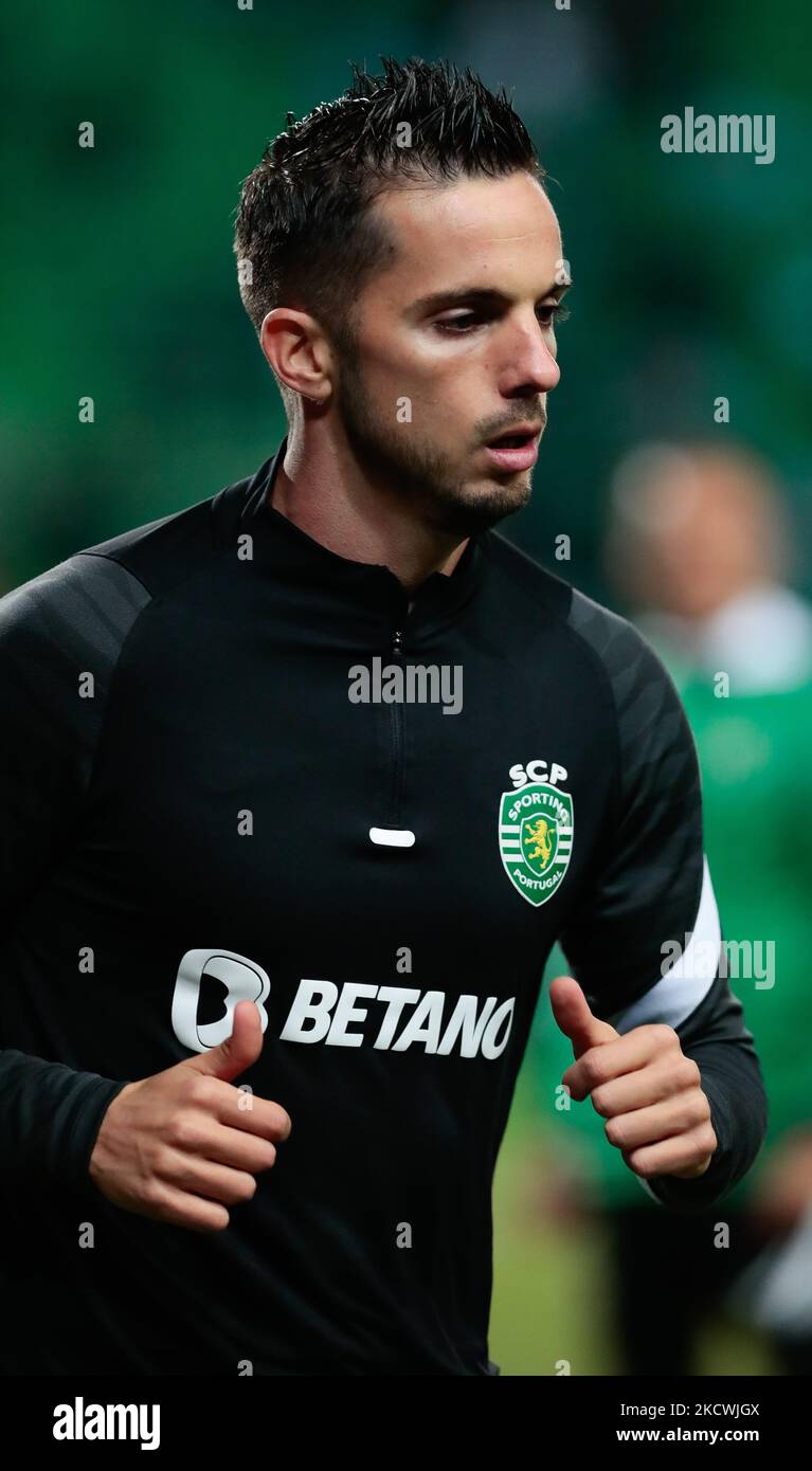 Pablo Sarabia of Sporting CP during the Group C - UEFA Champions League ...