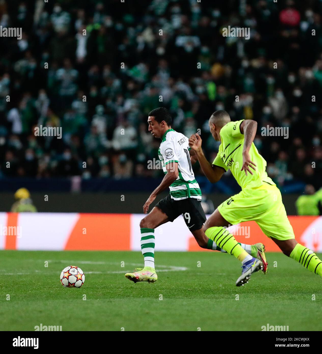 Tiago Tomas of Sporting CP during the Group C - UEFA Champions League ...