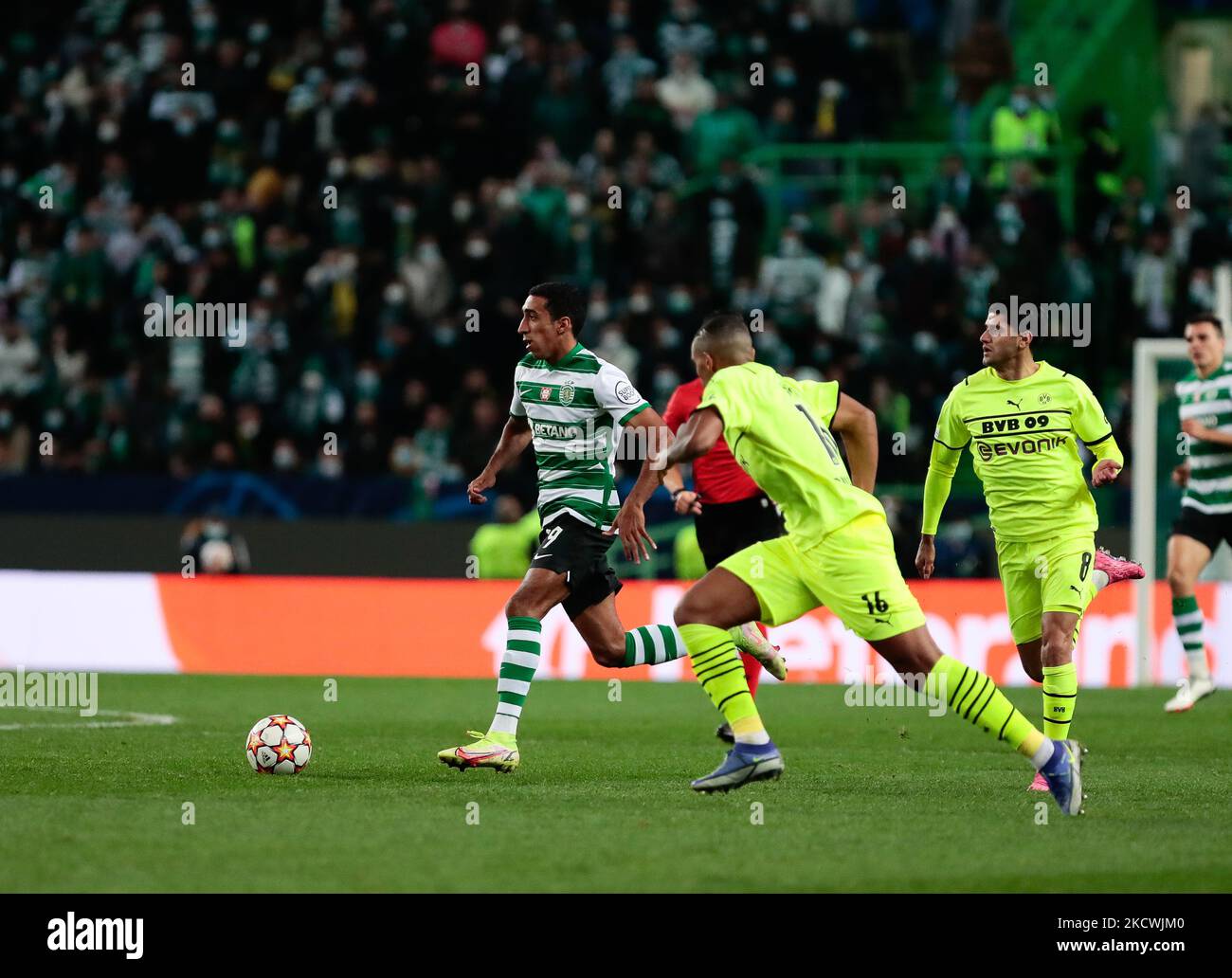 Tiago Tomas of Sporting CP during the Group C - UEFA Champions League ...