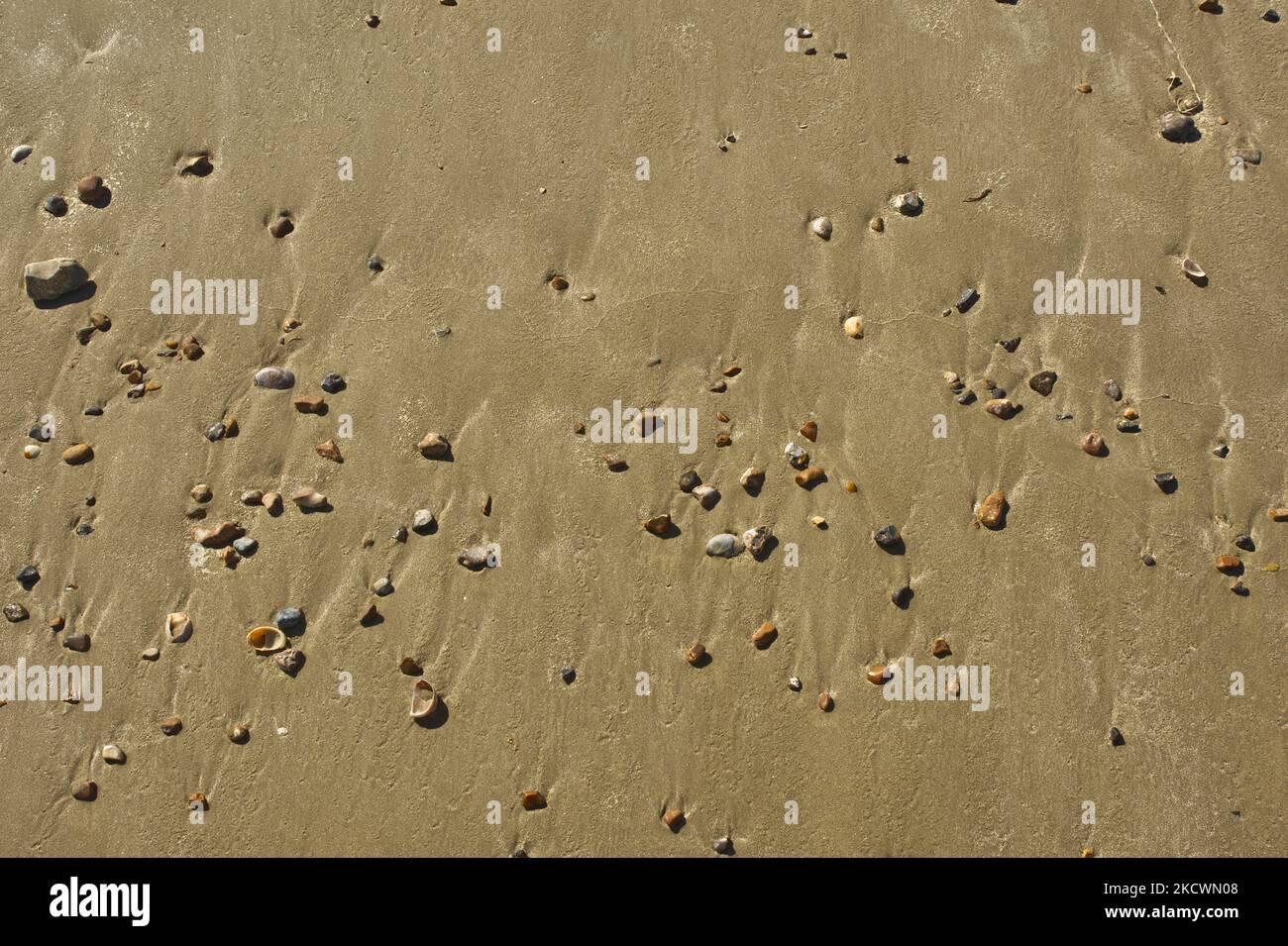 Smooth sandy beach with scattering of pebbles Stock Photo - Alamy