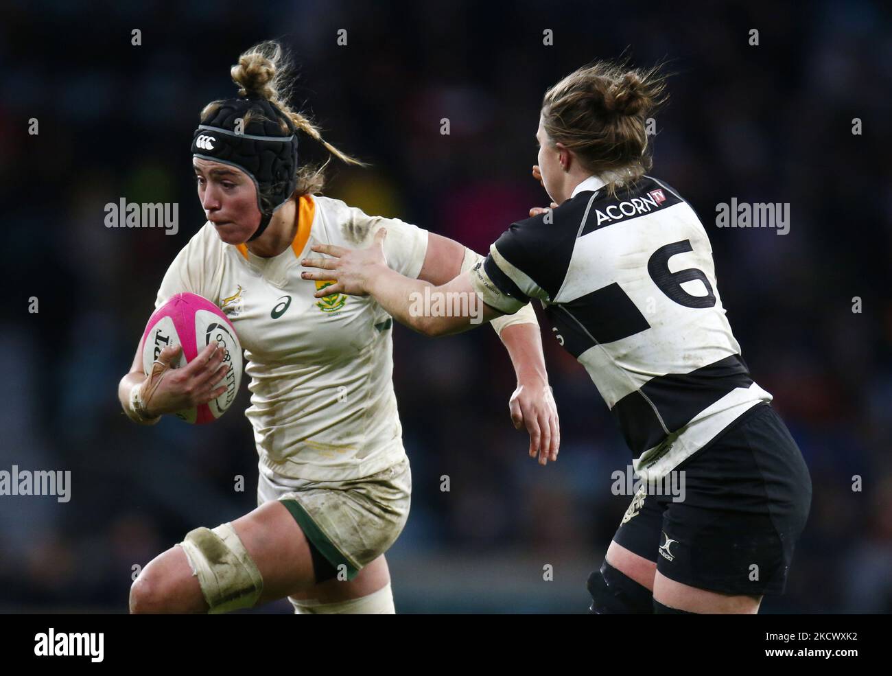 Catha jacobs hi-res stock photography and images - Alamy