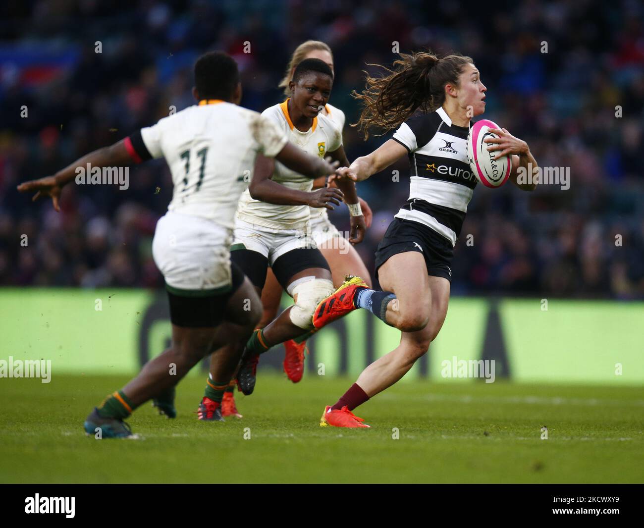 Les lionnes hi-res stock photography and images - Alamy