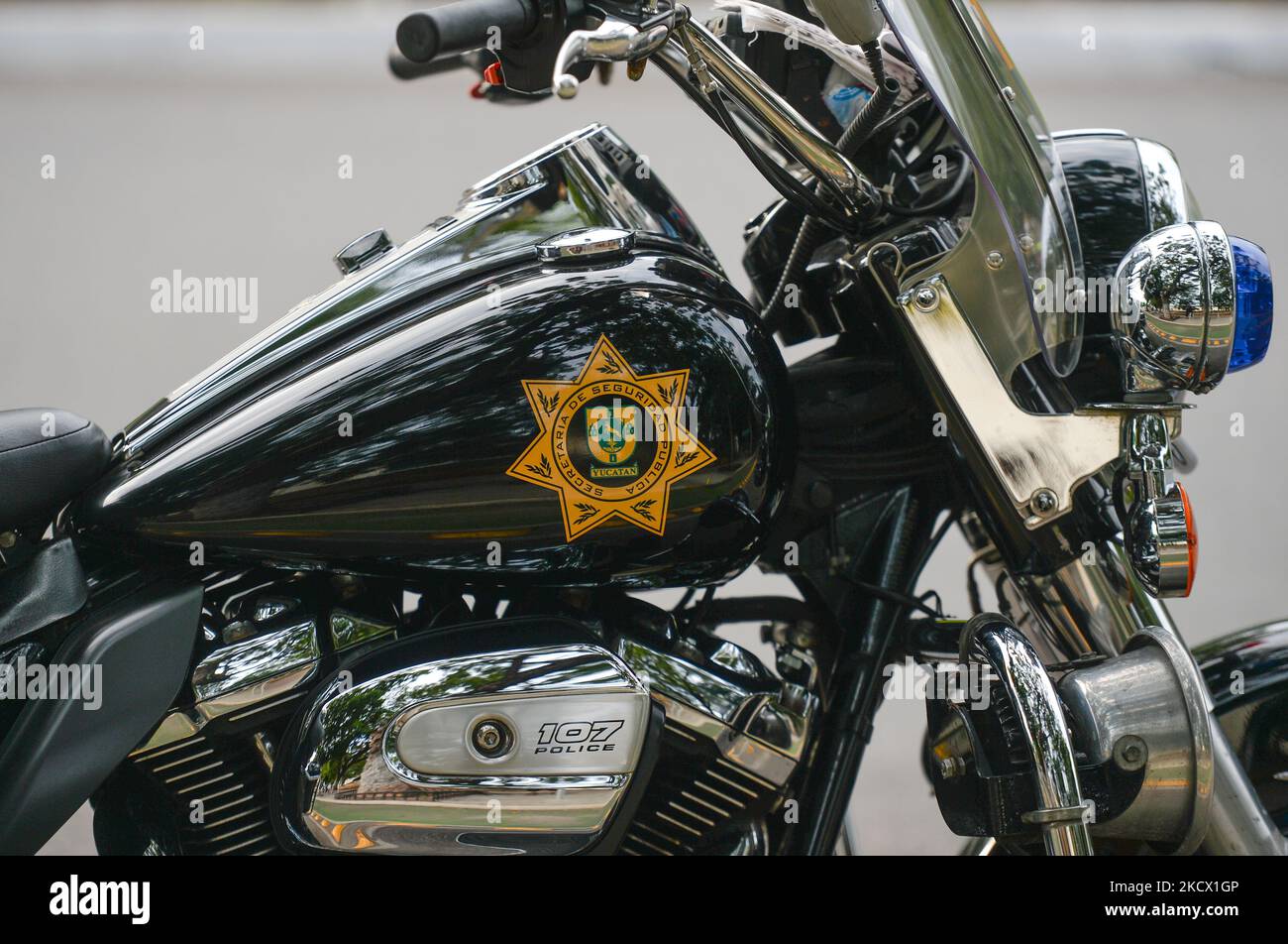 Seguridad logo hi-res stock photography and images - Alamy