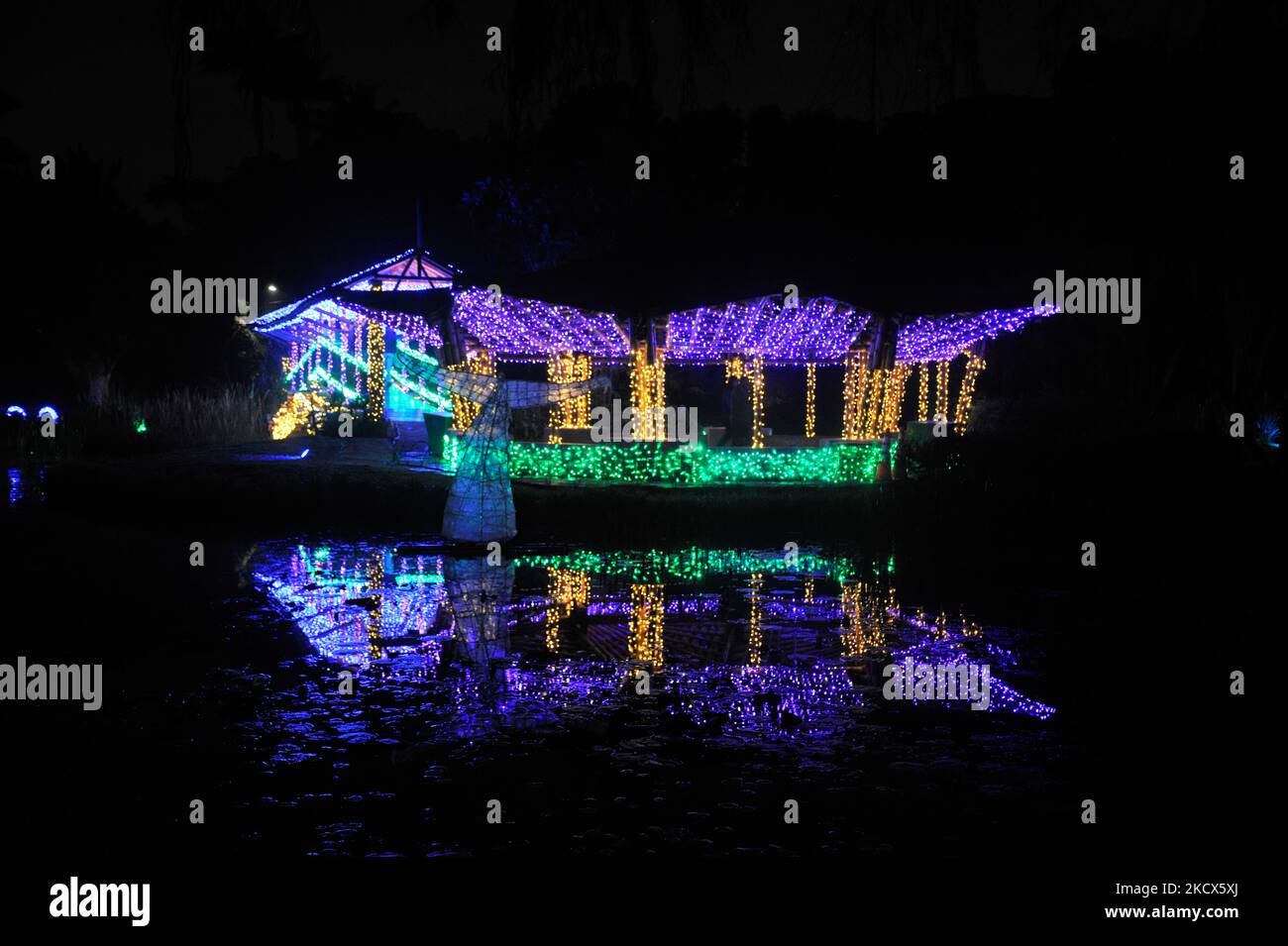 Christmas light show across Bogota's Botanical Garden during the ...