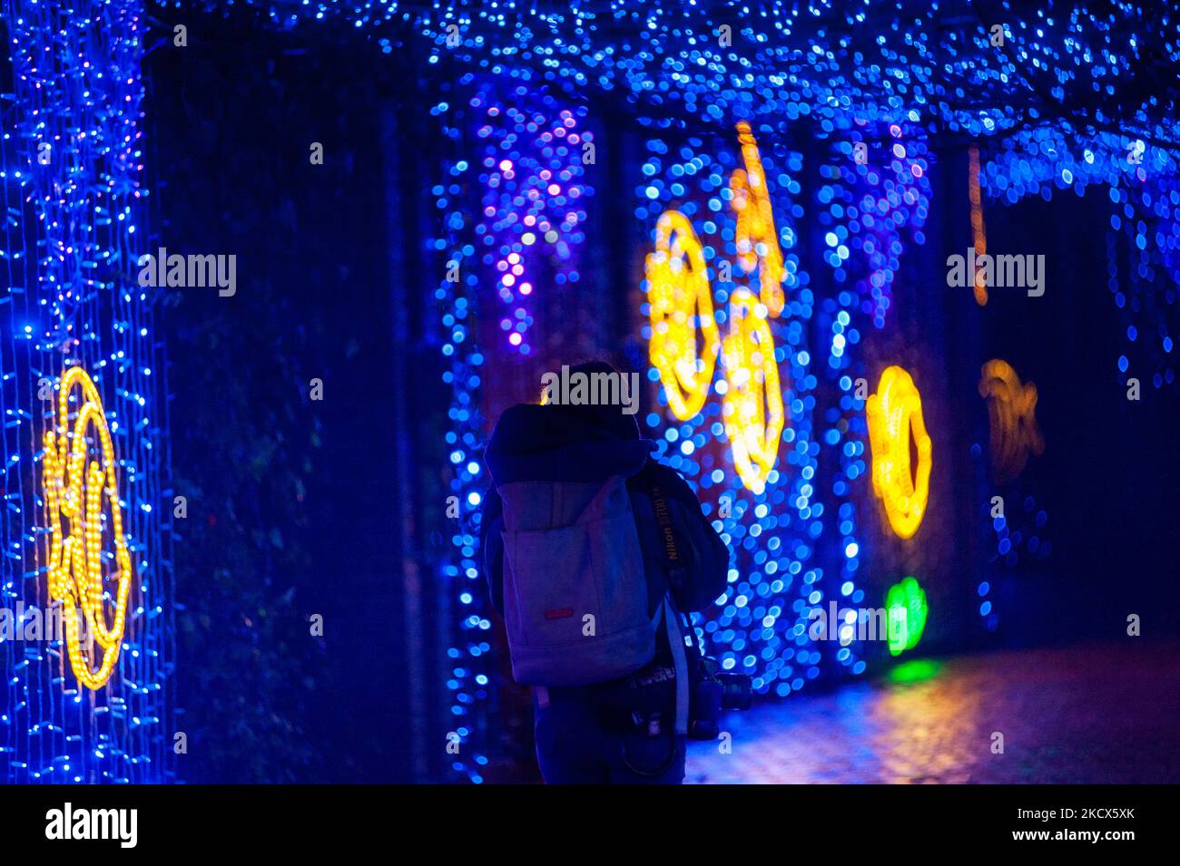 Corona virgen maria hi-res stock photography and images - Alamy