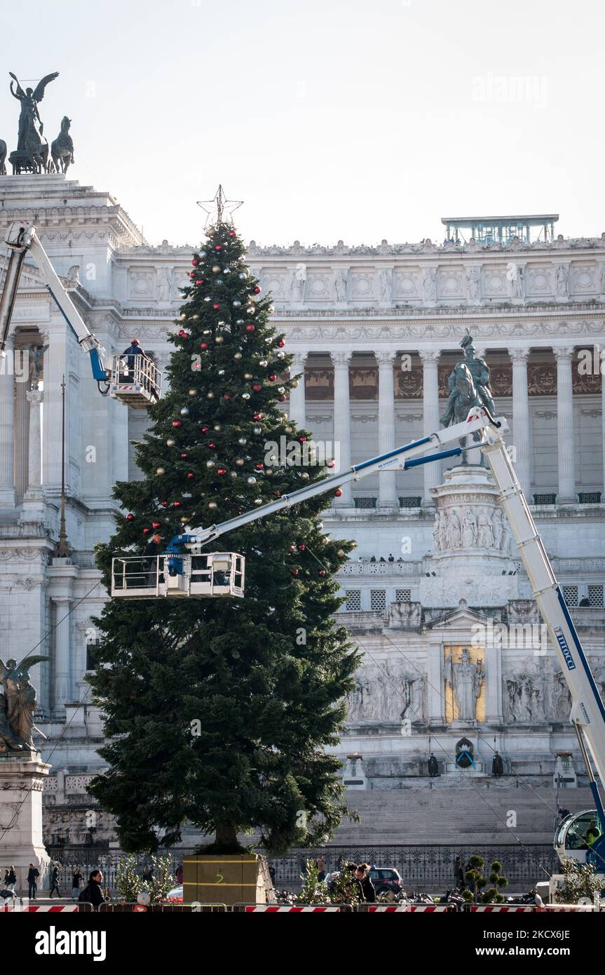 Work has begun on the Christmas tree in Piazza Venezia, in Rome, Italy ...