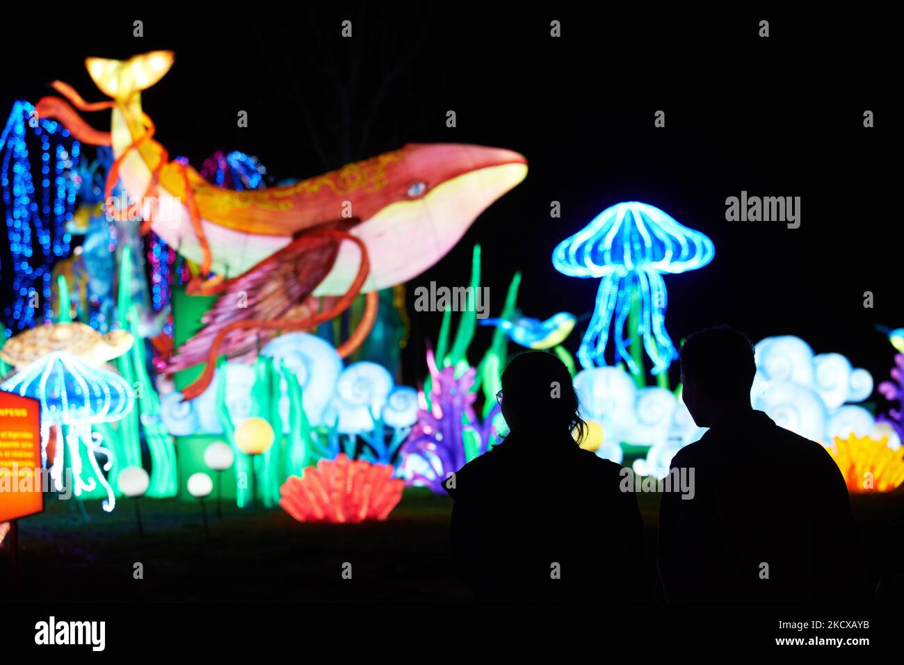 Kun peng hi-res stock photography and images - Alamy