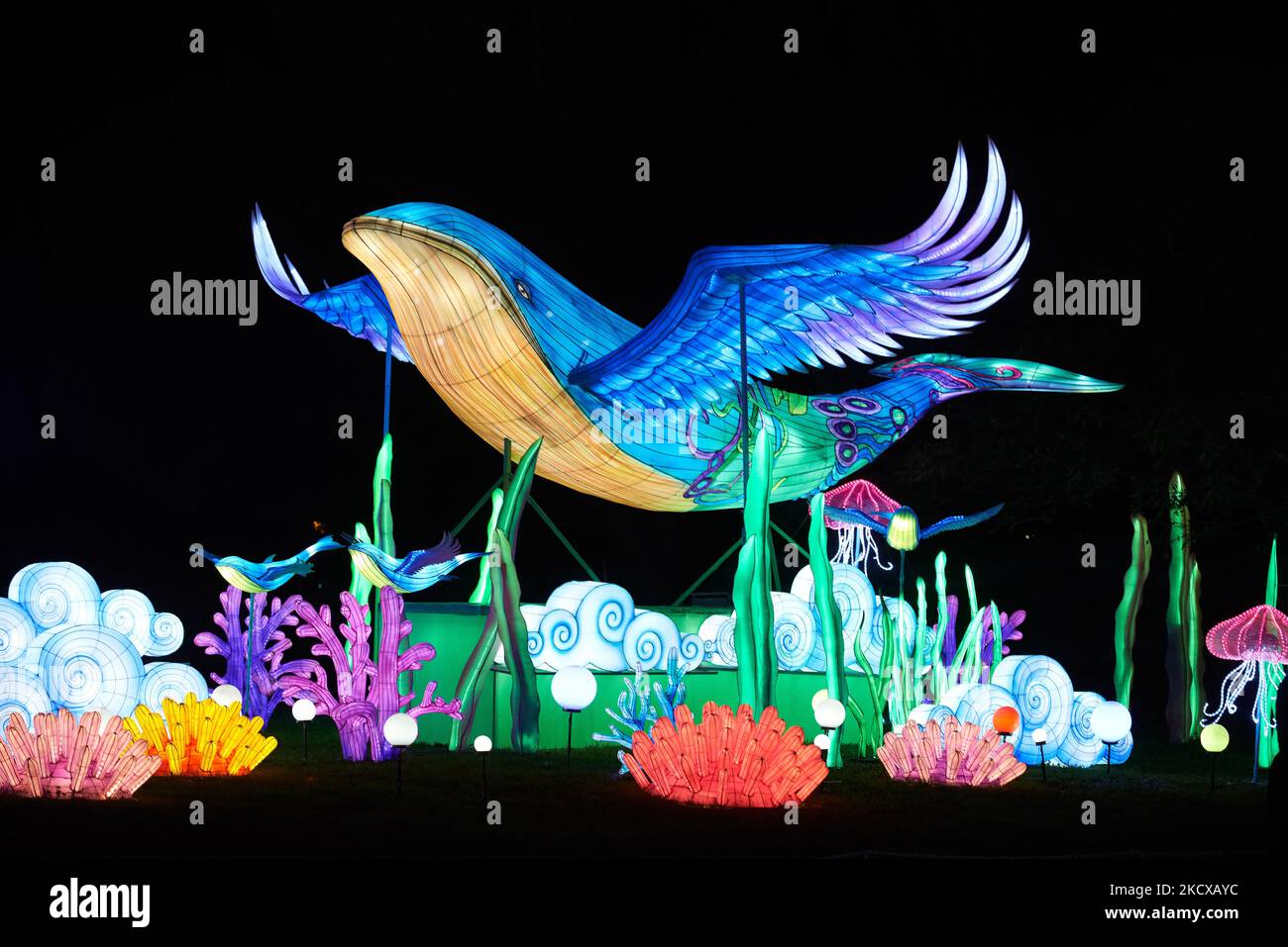 Peng kun hi-res stock photography and images - Alamy