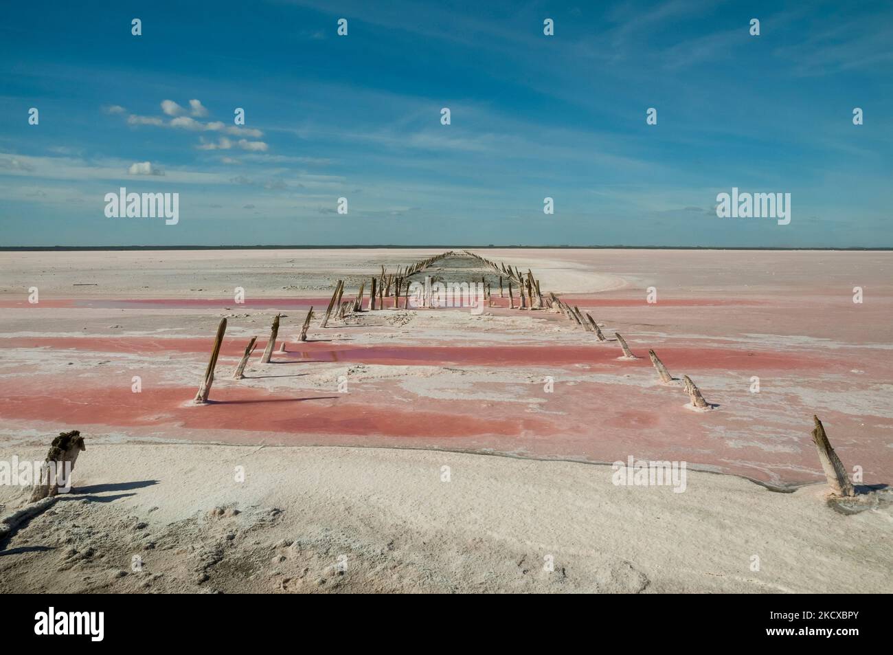 Salt lagoon,Dunaliella salina coloration, La Pampa, Argentina Stock ...