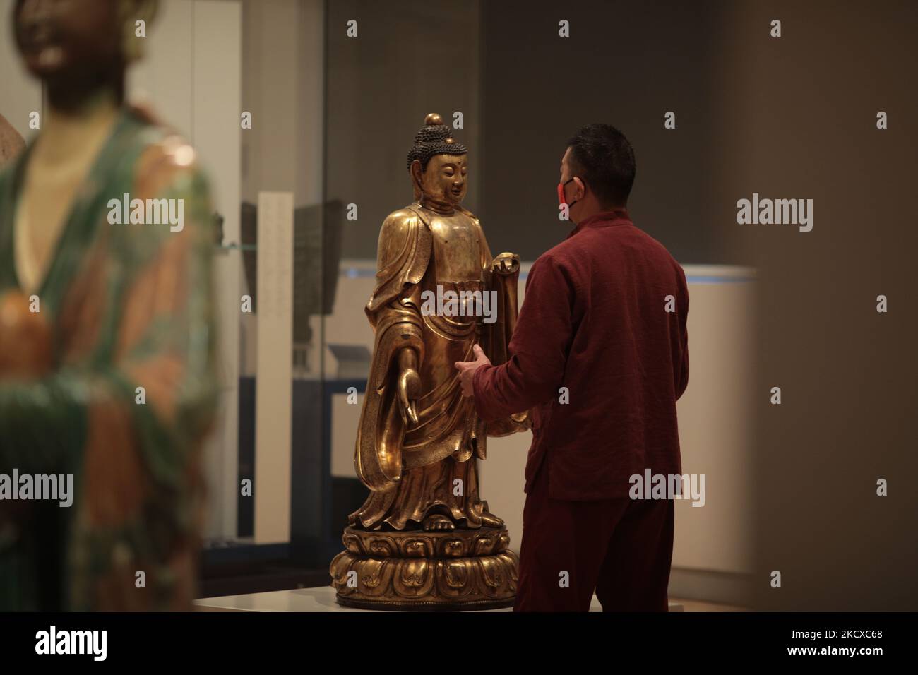 Royal onaraio museum hi-res stock photography and images - Alamy