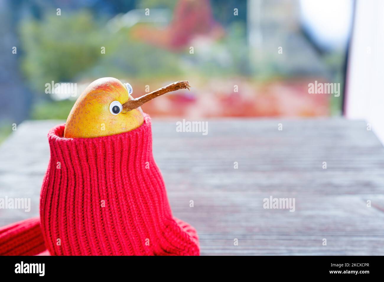 Getting ready for a cold winter: pear character wearing a knitted ...