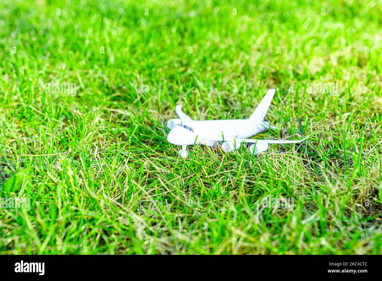 Model of a modern aircraft in grass Stock Photo - Alamy