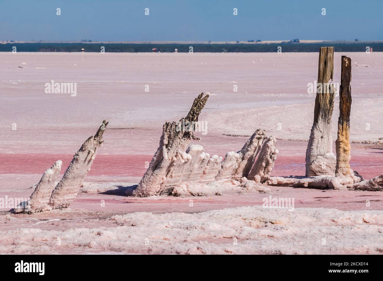 Salt lagoon,Dunaliella salina coloration, La Pampa, Argentina Stock ...