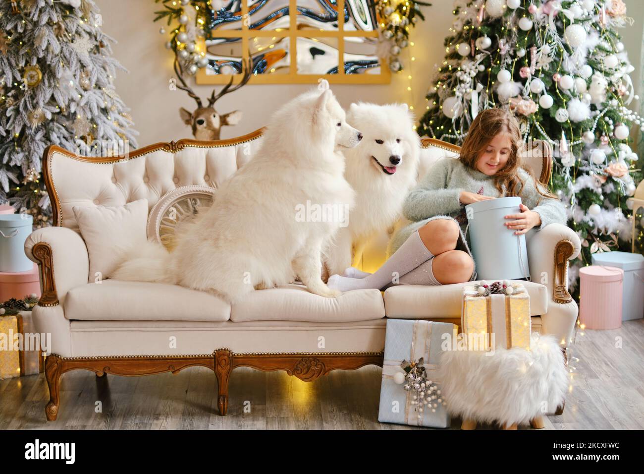Little cute girl sitting on the sofa with two Samoyed dogs Stock Photo ...