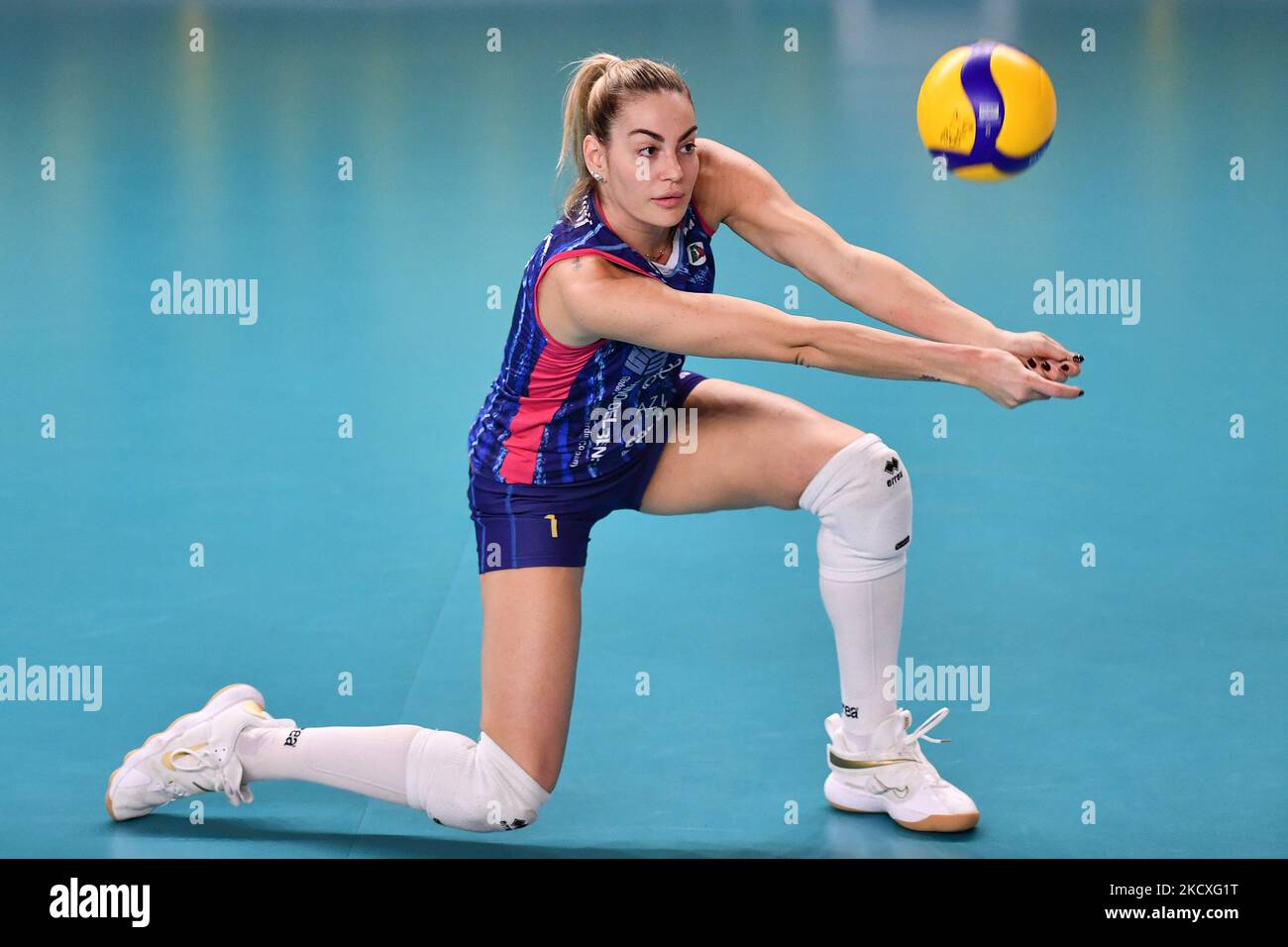 Veronica angeloni hi-res stock photography and images - Alamy