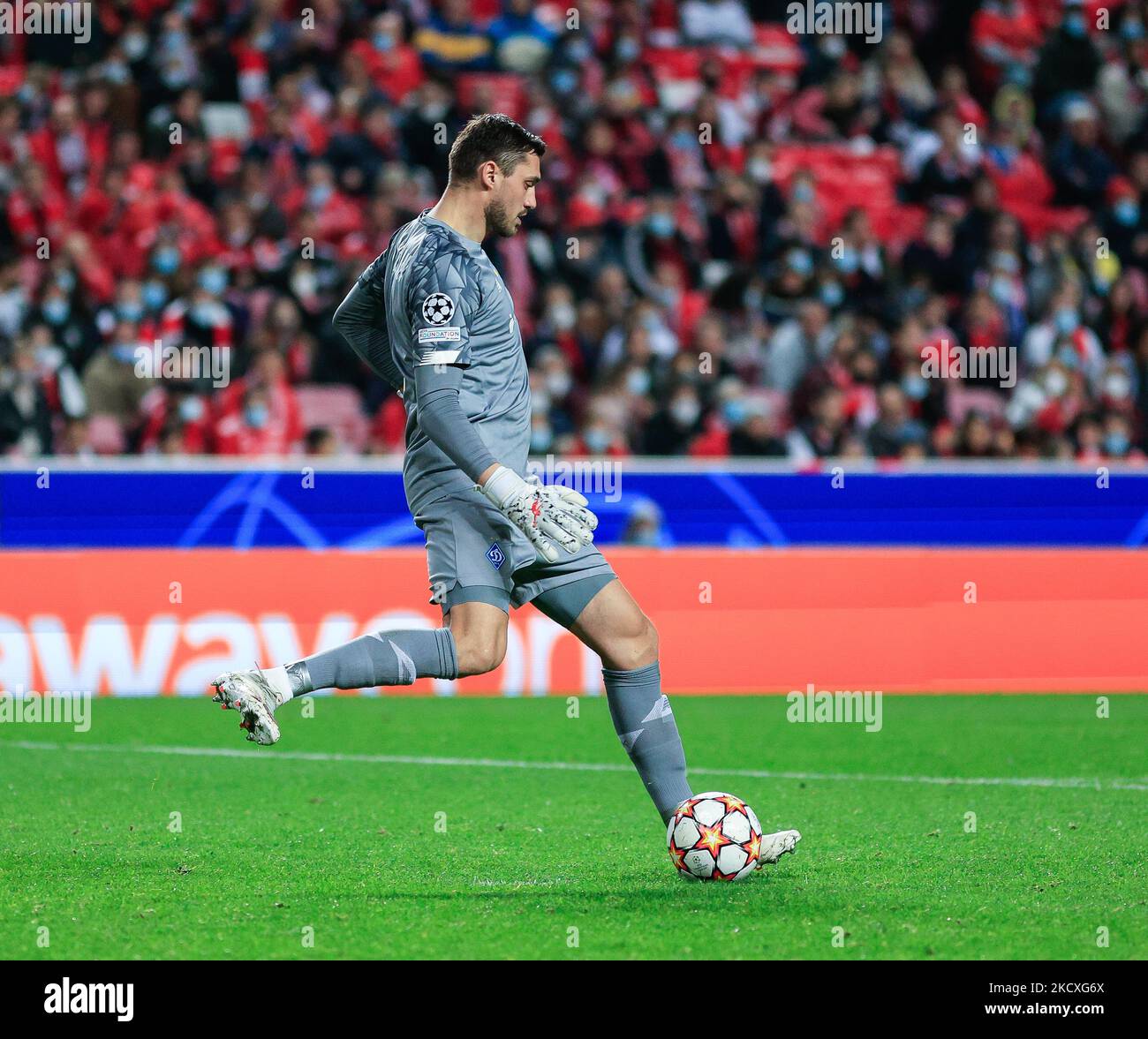 Bushchan hi-res stock photography and images - Alamy