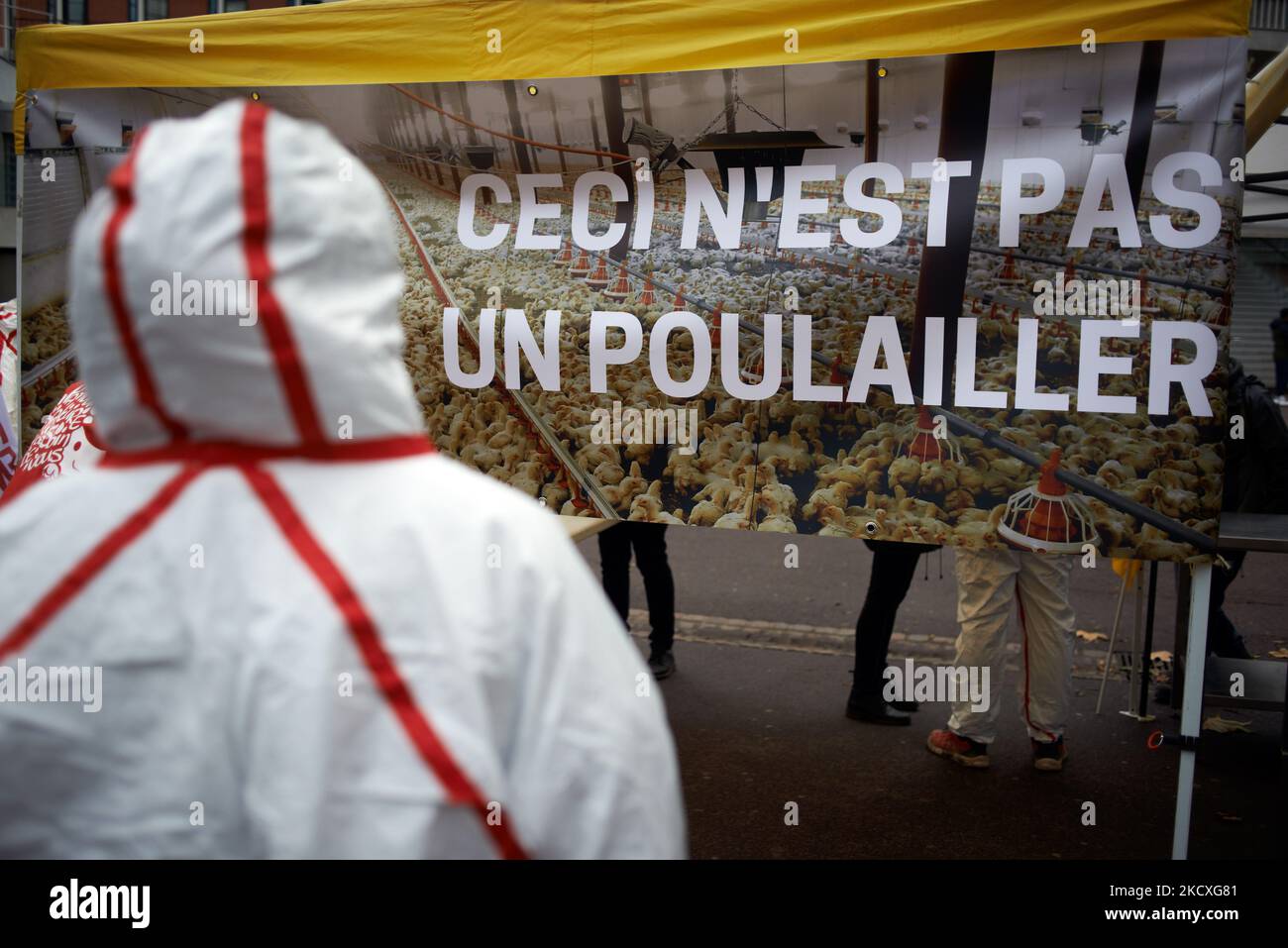 Fights diseases hi-res stock photography and images - Alamy