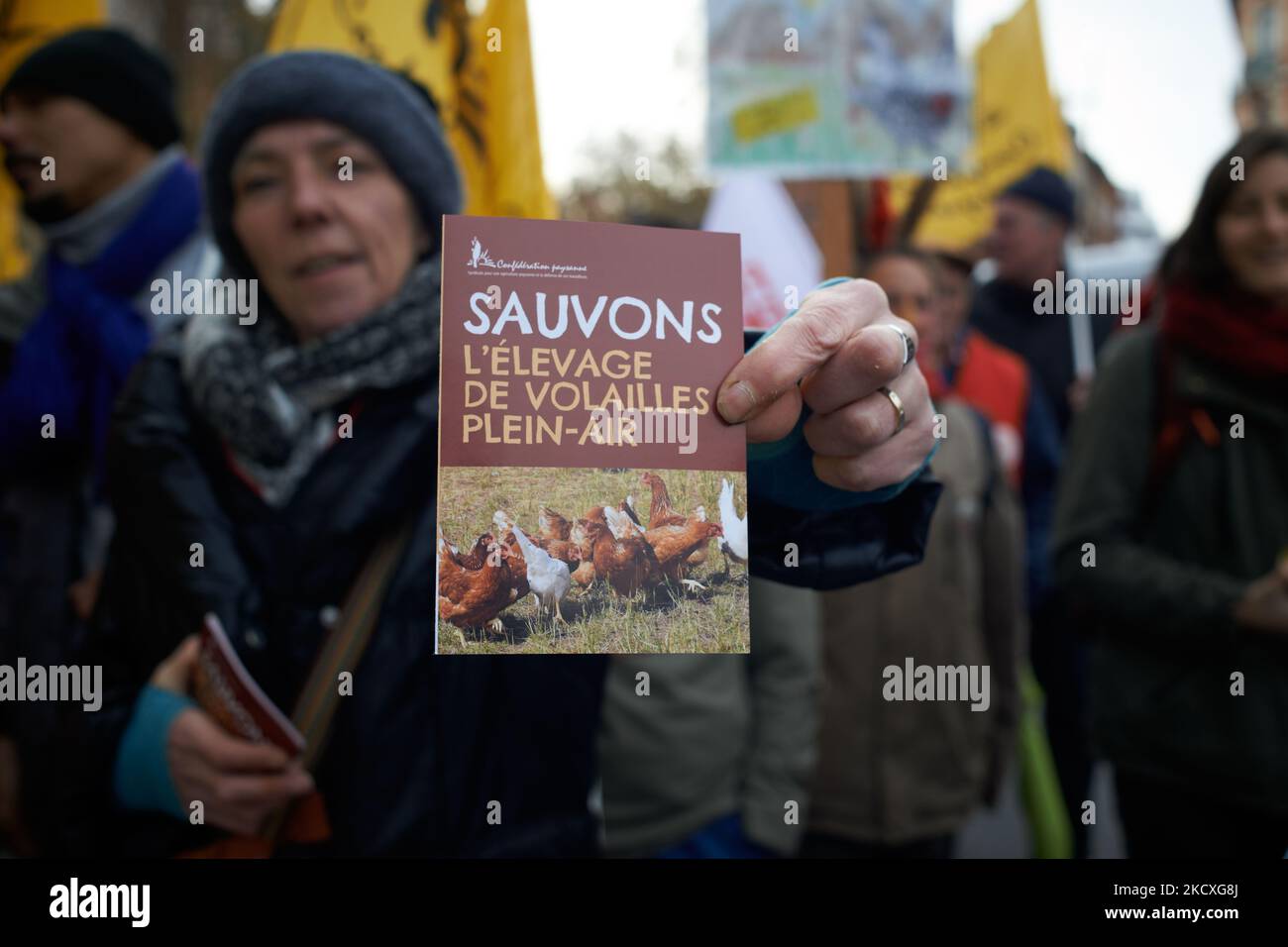 Chicken agribusiness in the us hi-res stock photography and images - Alamy