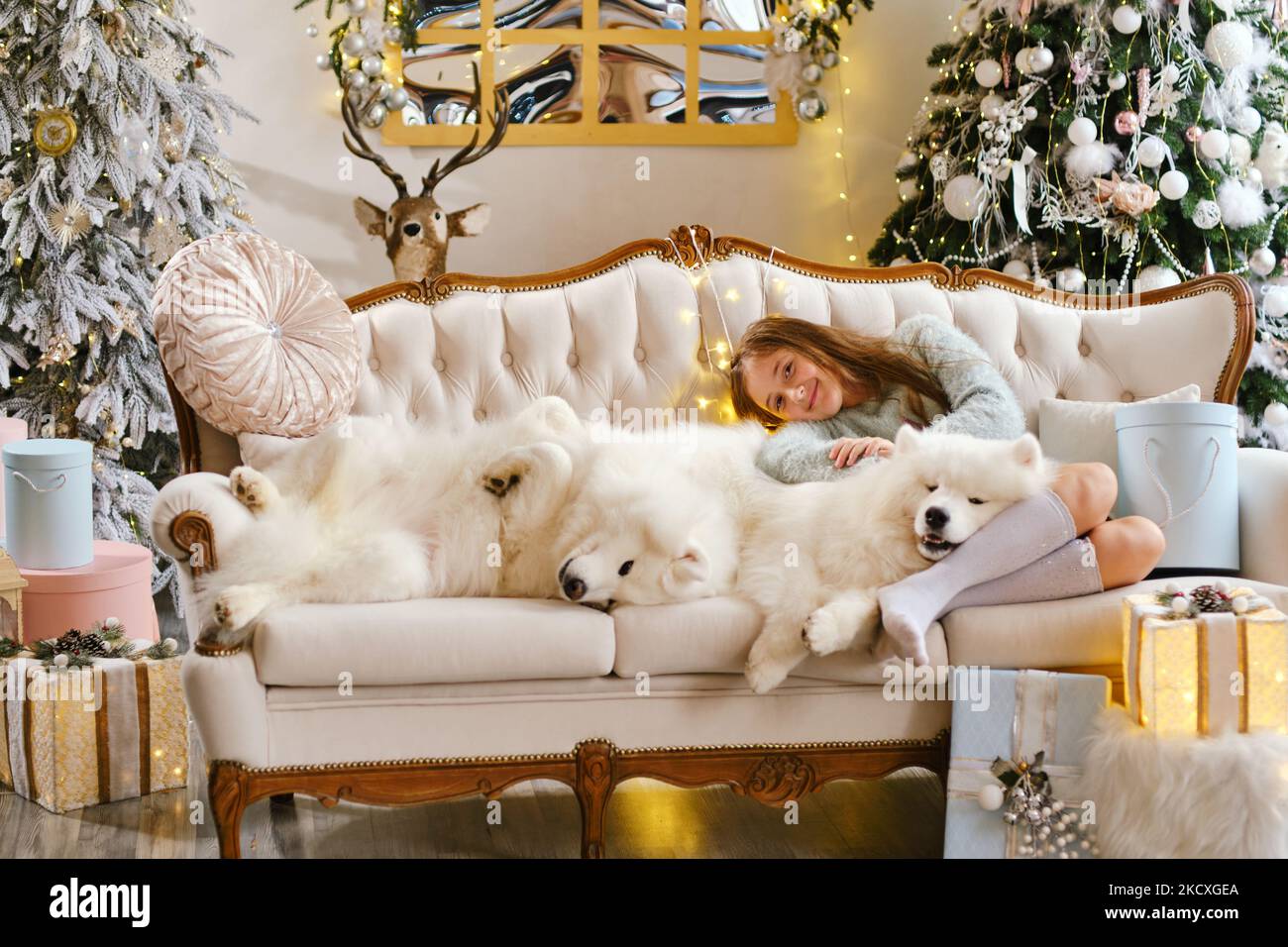 Little cute girl sitting on the sofa with two Samoyed dogs Stock Photo ...